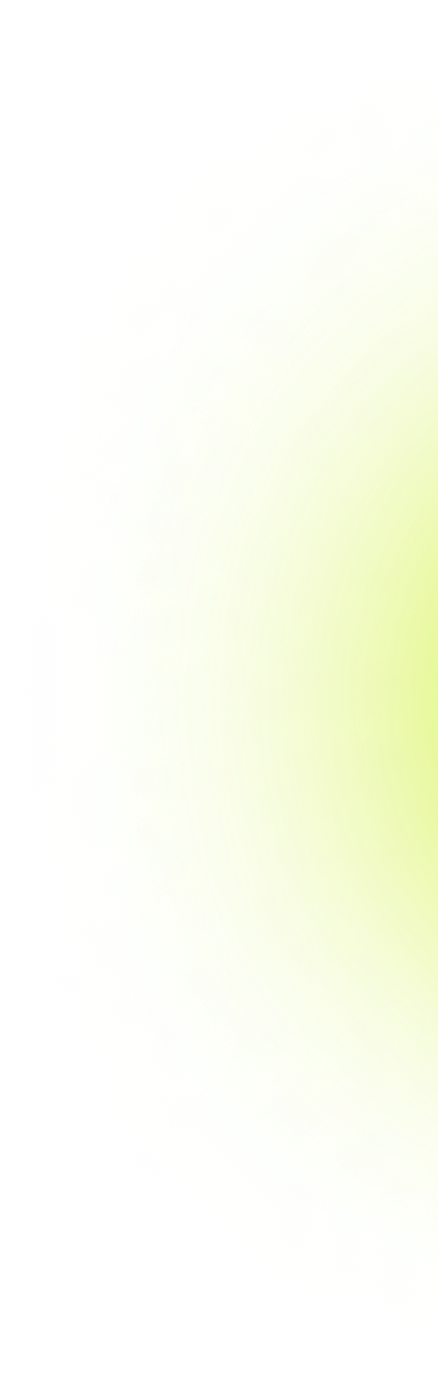 Our Service - Yana Digital Solution – Google Maps & Local SEO Specialists